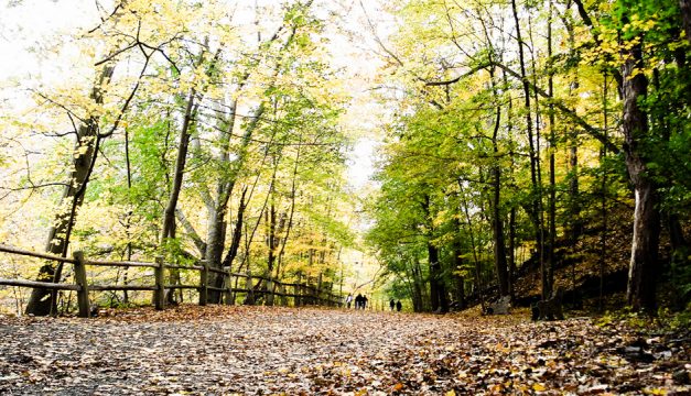 Best Running Trails, Paths, Routes in Philadelphia | Be Well Philly