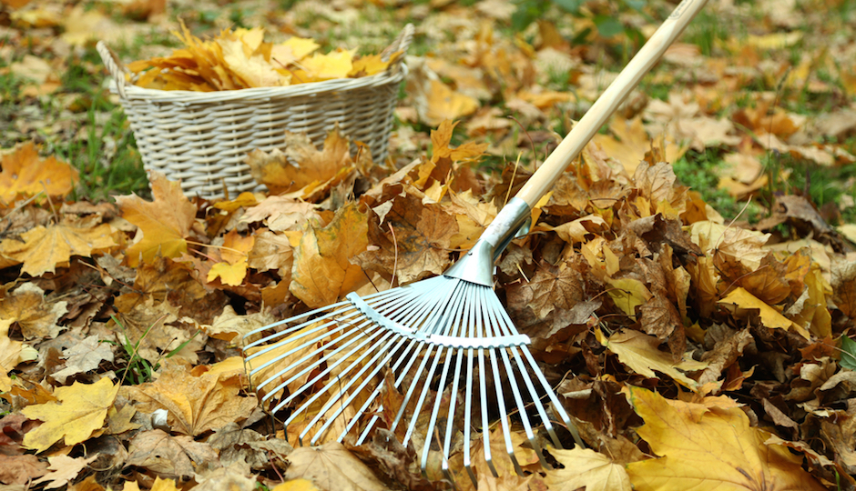 Philadelphia Love Your Park Fall Service Day 2014 | Ticket