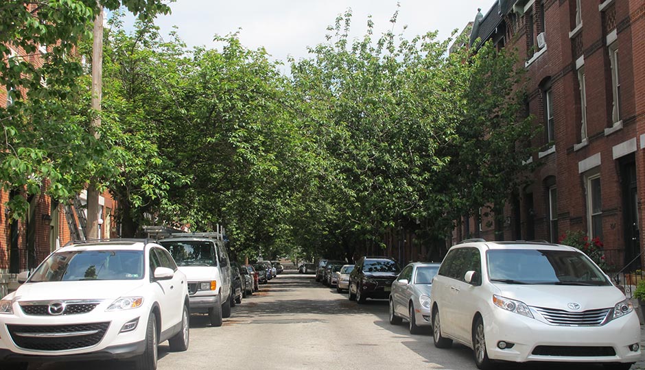 The 25 Most Beautiful Philly Streets - Philadelphia Magazine