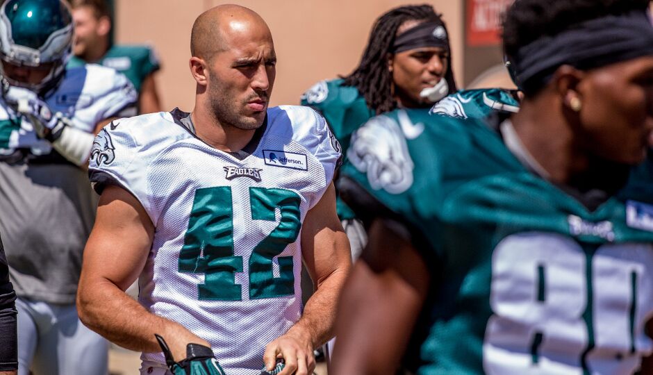 Eagles Wake-Up Call: - Birds 24/7