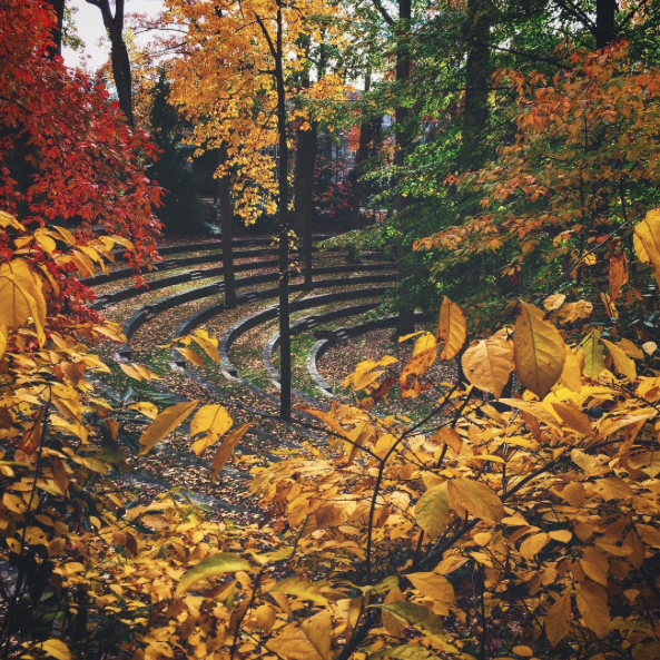 17 Mesmerizing 'Grams of Philly's Fall Foliage Found Under #PhillyScape ...