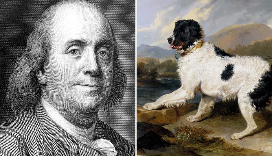11 Things You Might Not Know About the Founding Fathers' Dogs ...