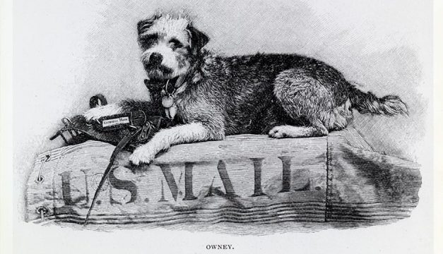 11 Things You Might Not Know About Owney, the Post Office Dog ...