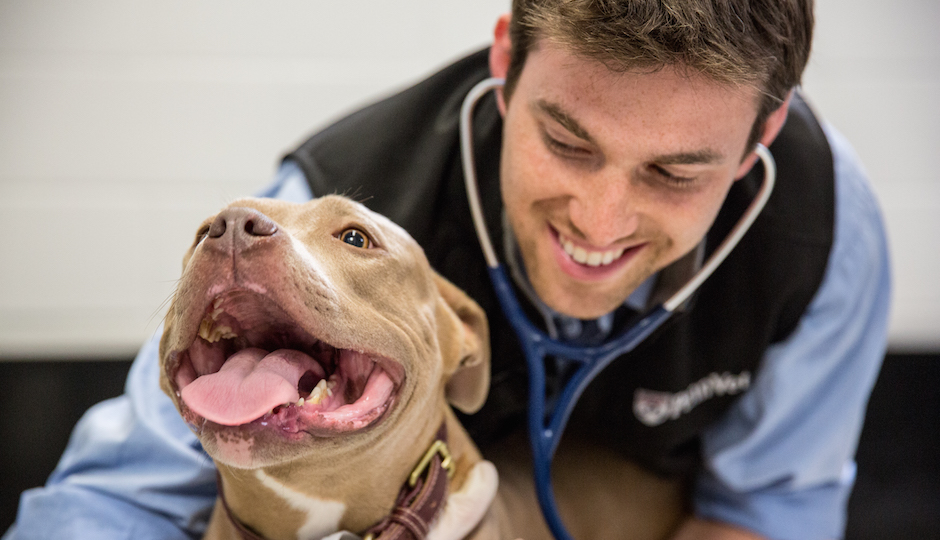 13 Things You Might Not Know About Penn’s 'Life at Vet U'