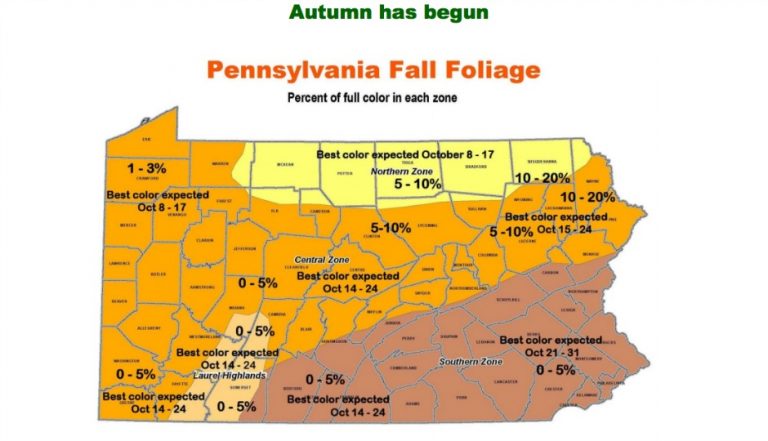 MAP: When Pennsylvania’s Leaves Will Be the Most Colorful