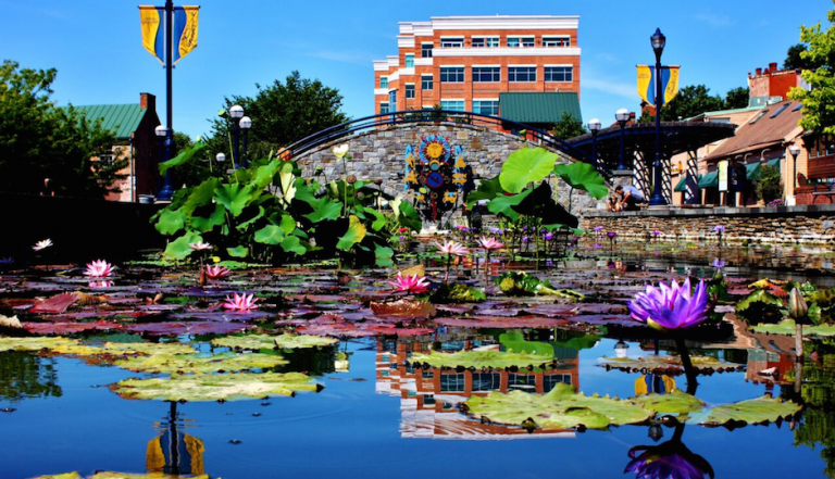 Weekend Getaway: Your 24-Hour Itinerary for Charming Downtown Frederick