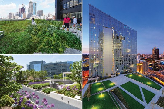 Why Are Green Roofs Popping Up All Over Philly? - Philadelphia Magazine