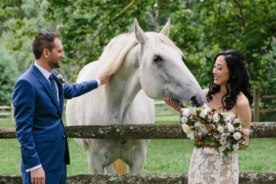 A Rustic Pennsylvania Winery Wedding Featuring Beautiful Farm Animals