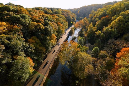 The Ultimate Guide to Pennsylvania's Best Fall Foliage Destinations