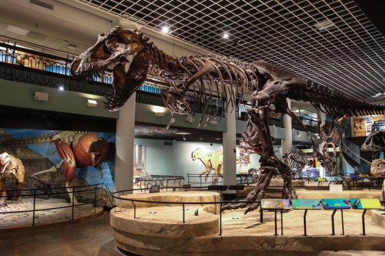The Best Philadelphia Museums for Seeing Art, History, and the Sciences
