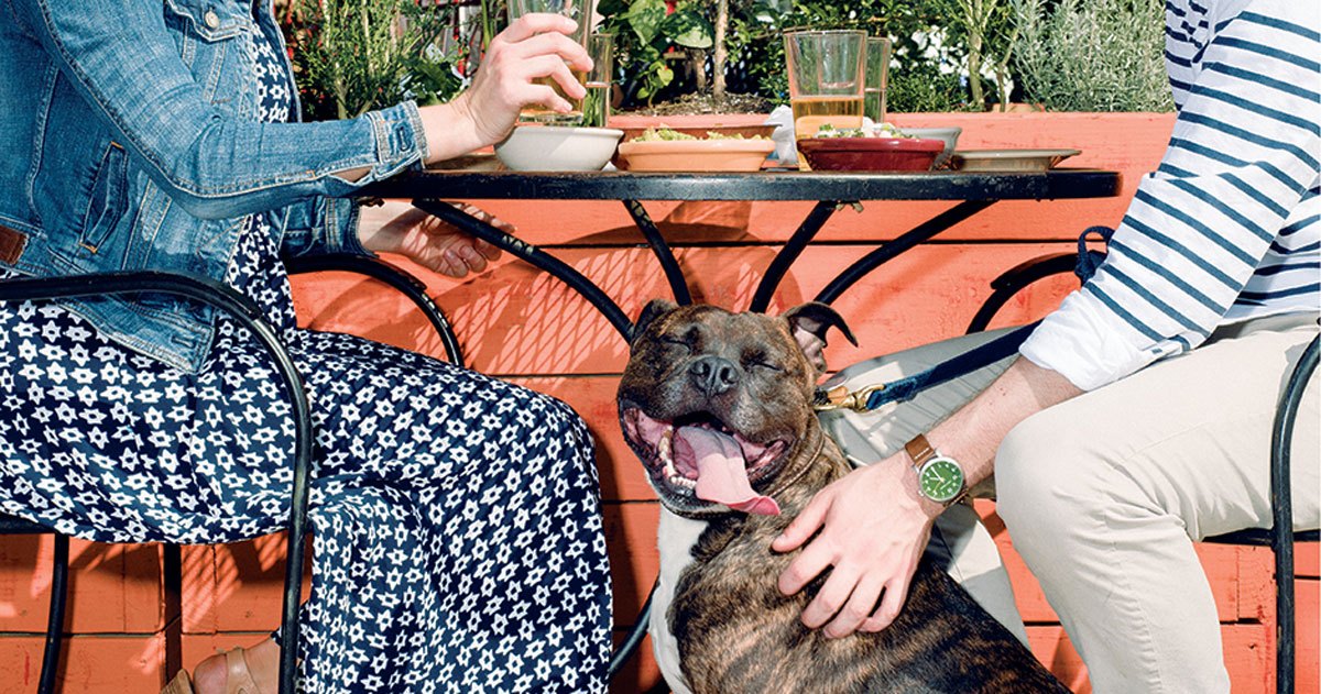 Dog-Friendly Philly: Where to Eat, Stay, and Play With Your Pooch