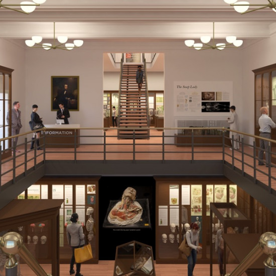 Mutter Museum Archives - Philadelphia Magazine