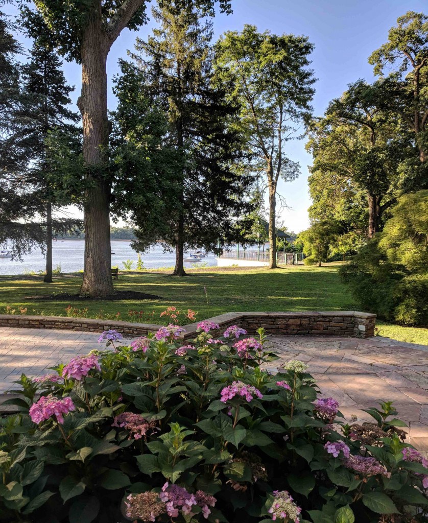 5 Shaded Walks You Can Take to Get Away From Summer Heat