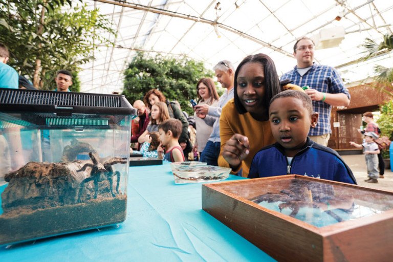 The Ultimate Guide to Philadelphia’s Fairmount Park