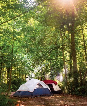 Your Guide to Hiking and Exploring Lums Pond State Park