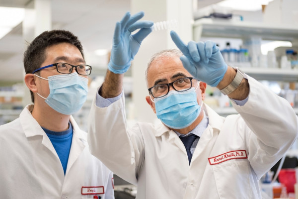 Excision BioTherapeutics to Proceed with HIV Clinical Trial