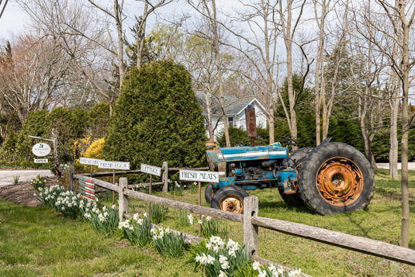 Beach Plum Farm's Spring Retreat Is a Must for Romantic Couple's Trips