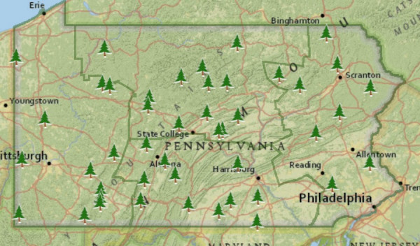 Cabins and Yurts in Pennsylvania State Parks: The Ultimate Guide
