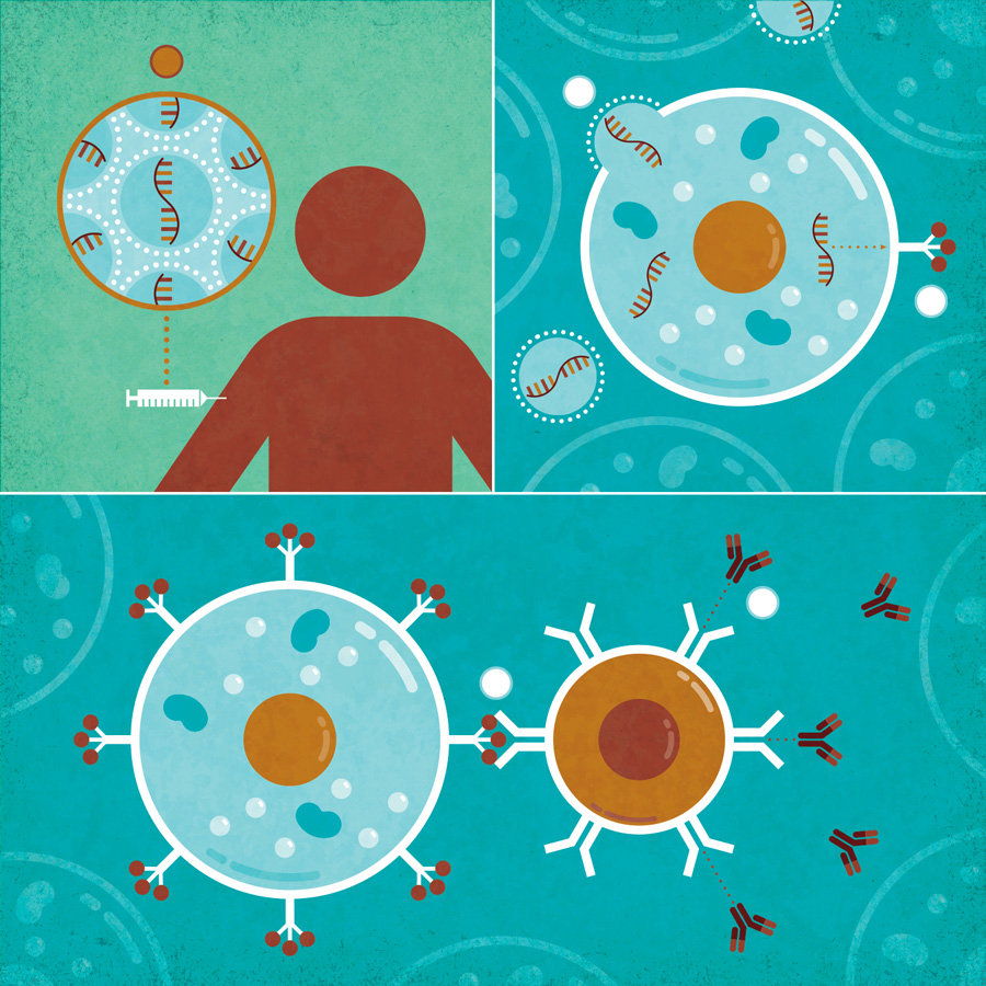 Gene Therapy Is Giving Us Incredible New Tools to Fight Disease