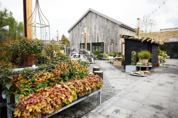 Philly-Area Plant Shops That'll Fill Your Home With Green