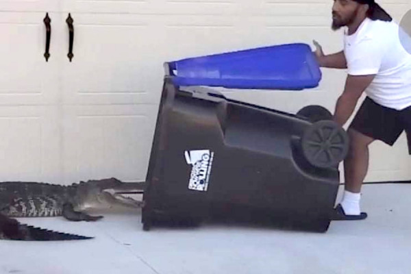 How Growing Up in Philly Prepared Me to Face Down an Alligator