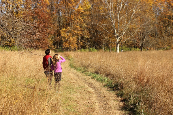 13 Kid-Friendly Hiking Trails a Short Drive From Philadelphia