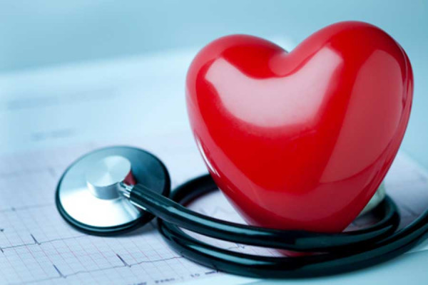 Cardiologist Visits: What You Need to Know for Your Next Appointment