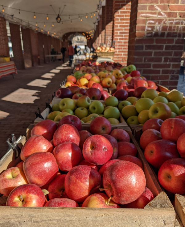 60+ Farmers’ Markets Around Philadelphia and South Jersey
