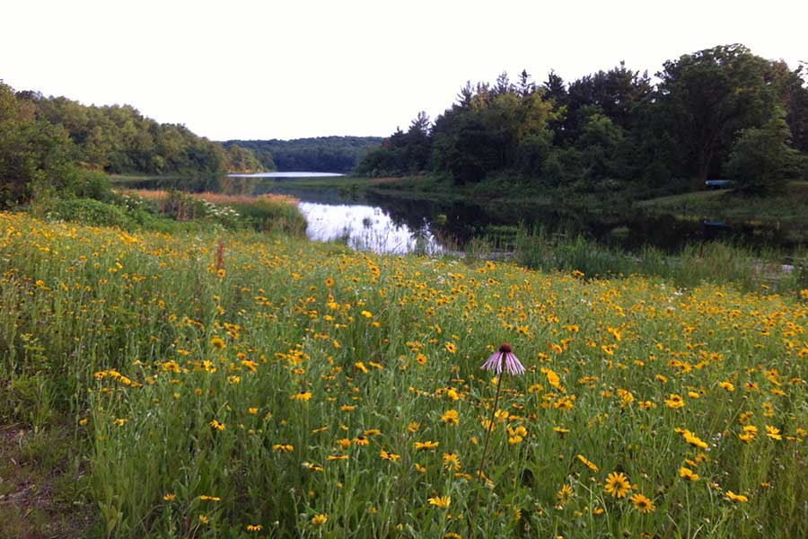 Beer Trails, Music Festivals and More: This PA Spot Is a Summer ...