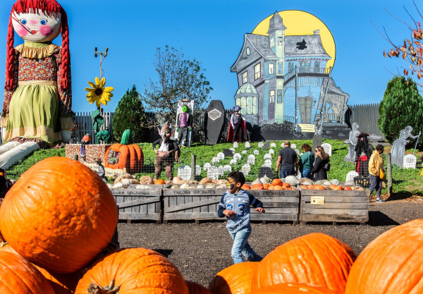Where to Celebrate Halloween With Kids in Philly