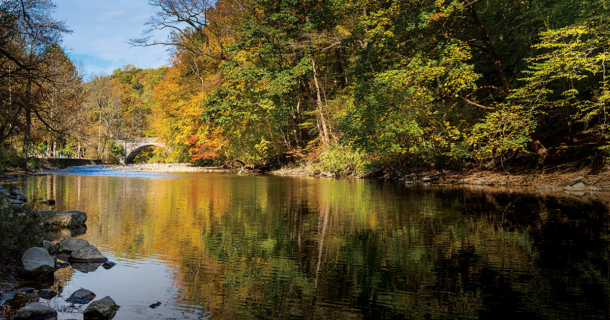 An Insider's Guide to Exploring Wissahickon Valley Park