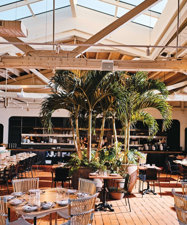 The Enduring Power of Kalaya