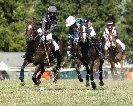 Philadelphia Polo Classic Returns to Fairmount Park This Fall