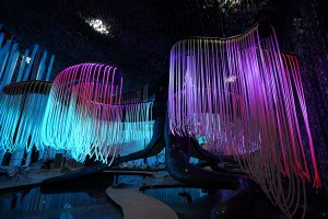 Otherworld Brings an Immersive, Surreal Experience to NE Philly