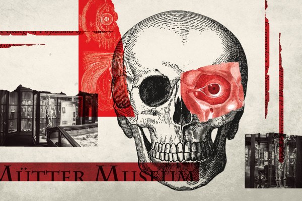 What the Hell Is Happening With the Mütter Museum?
