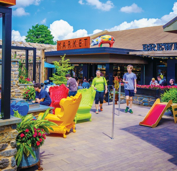 Living in Chestnut Hill: A Neighborhood Guide