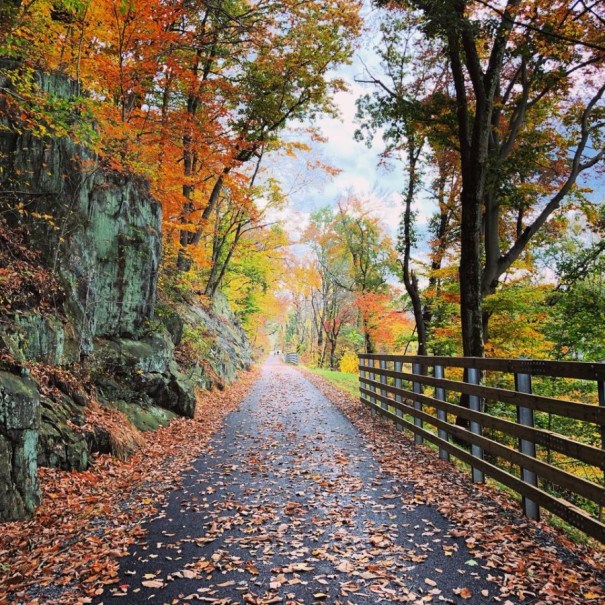 The Best Fall Foliage Hikes in and Around Philadelphia
