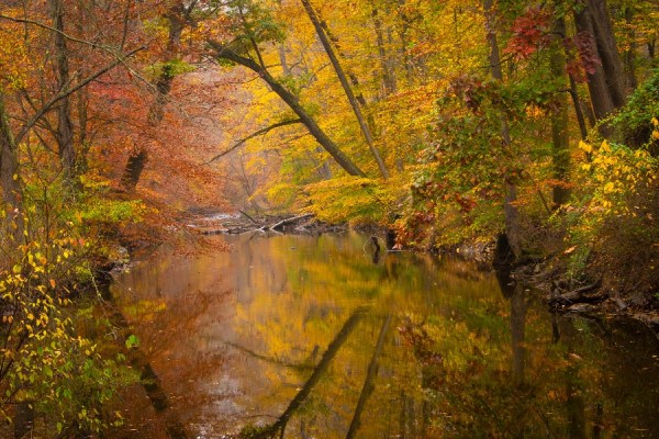 The Best Fall Foliage Hikes in and Around Philadelphia