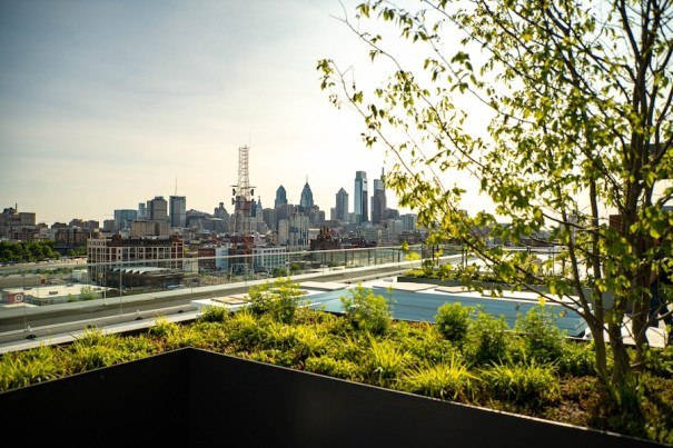 The Carson Apartment Profile: They Put The Best Things on Top