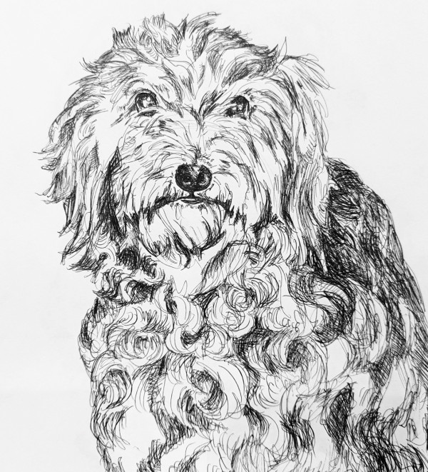 Philadelphia Pets: Adopting, Pampering and Traveling With Your Furry ...