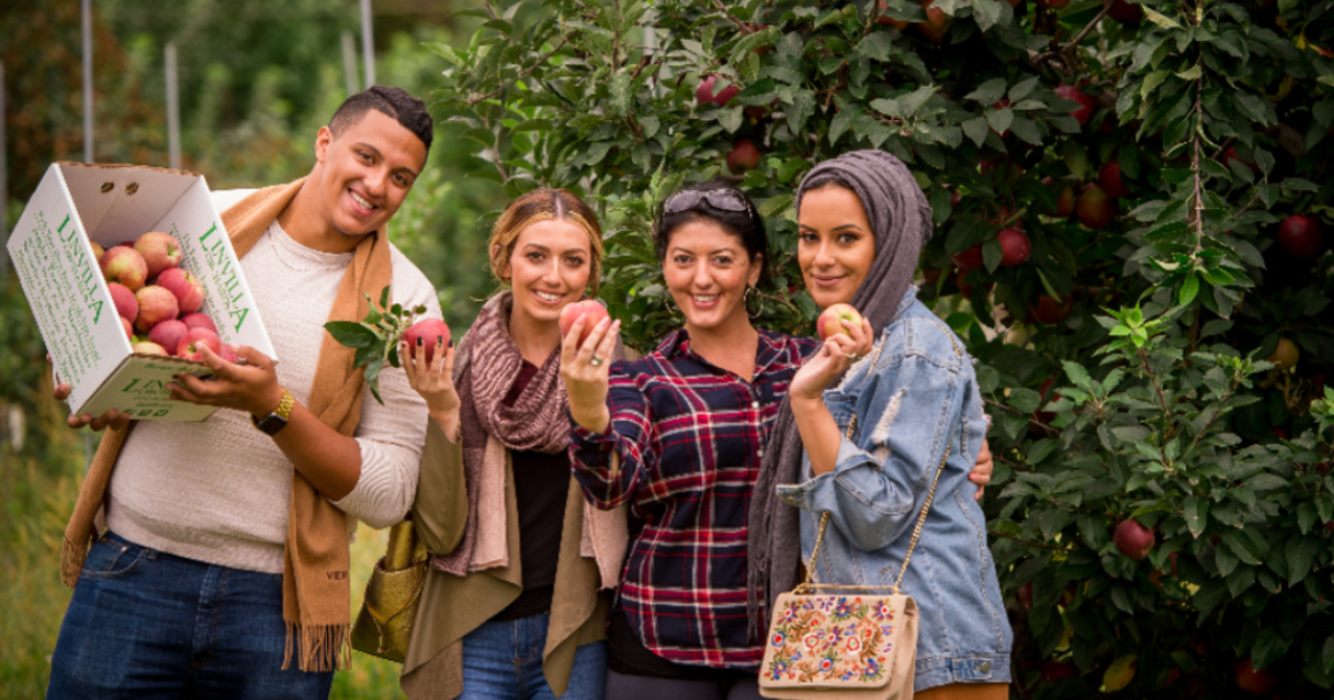 16 Gorgeous Orchards for Apple Picking Near Philadelphia