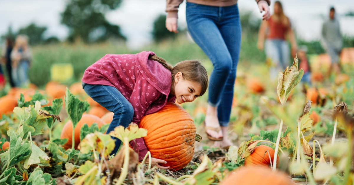 Philly-Area Farms Where You Can Pick Pumpkins This Fall