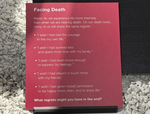 Inside the Franklin Institute’s Stunning New “Body Worlds” Exhibit