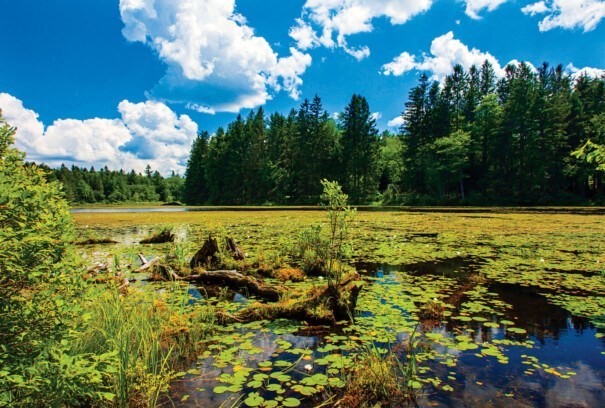 The Best Lakes to Visit Near Philadelphia