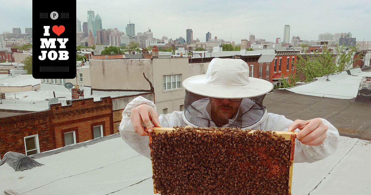 What It's Like to Get Stung by Bees 30 Times Each Day
