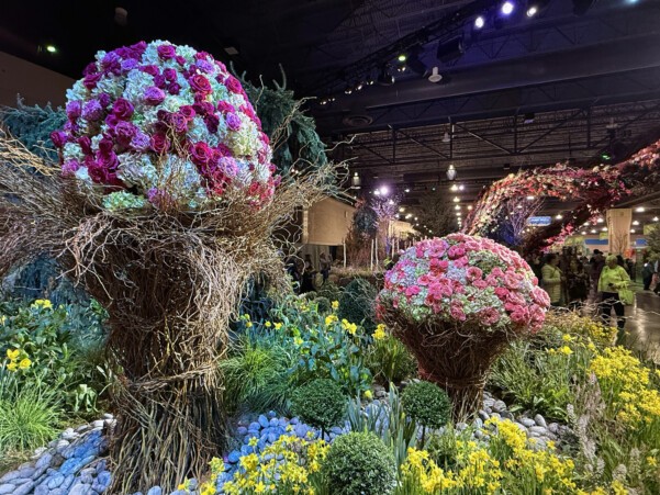 Ultimate Guide to the 2026 Philadelphia Flower Show